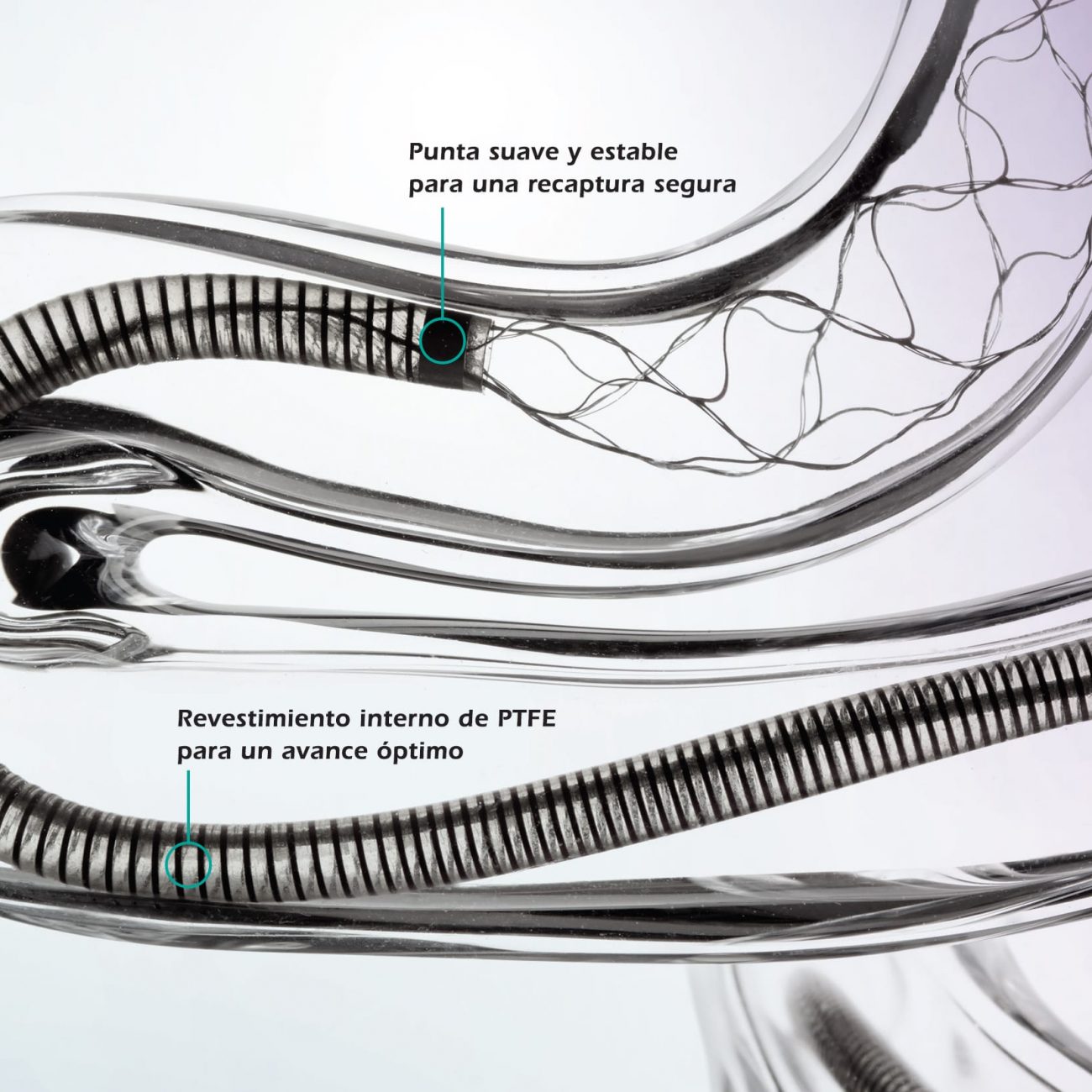 AXS Catalyst 6 – Endovascular Médica Canarias