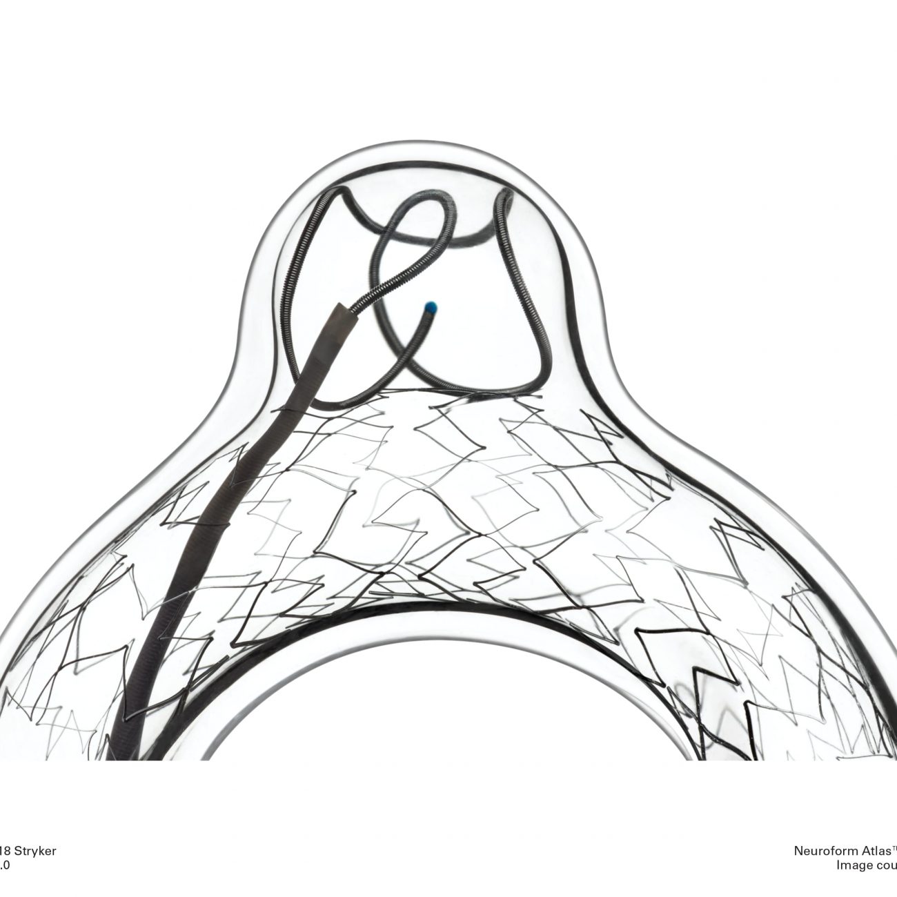 Neuroform Atlas – Endovascular Médica Canarias